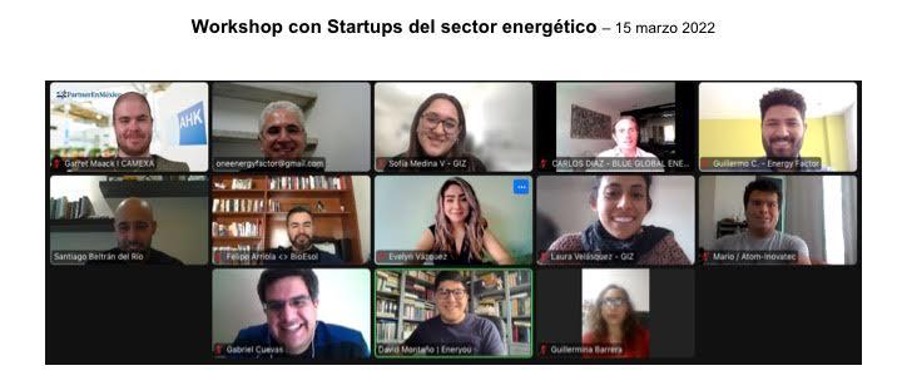 Implementation of the "Innovation and Energy Program" for energy ...